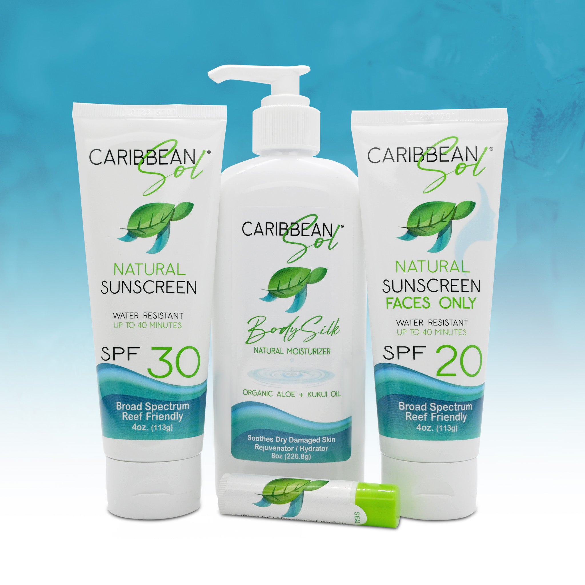 Caribbean Sol International, LLC