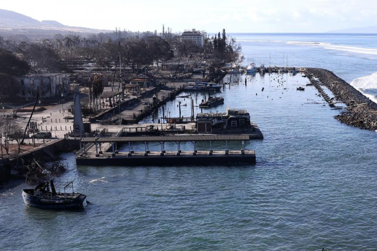 Caribbean Sol International, LLC