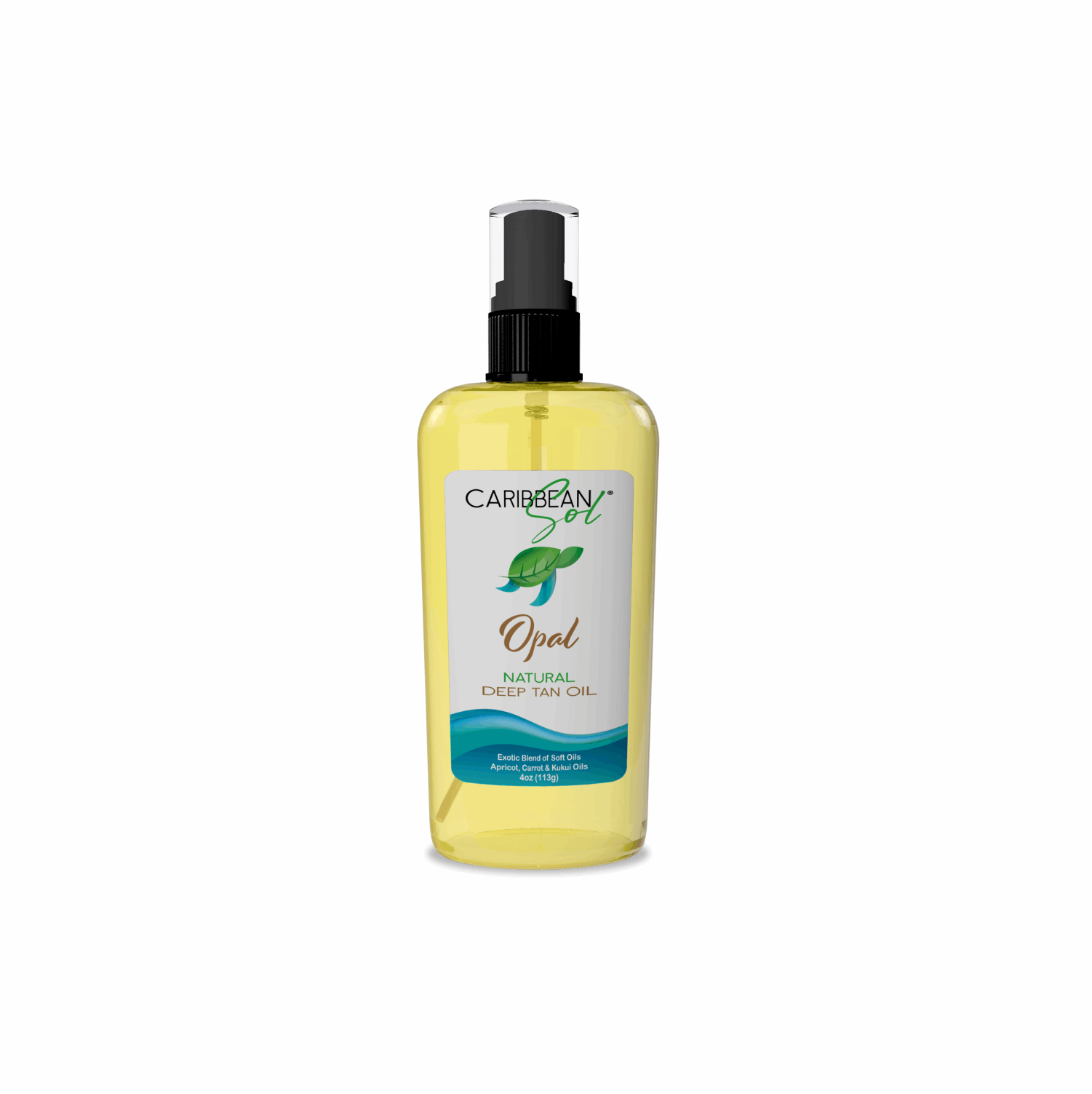 Caribbean Sol International, LLC